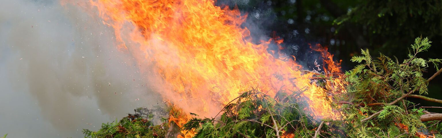 Brush, Yard Waste & Burning - City of Galva Illinois